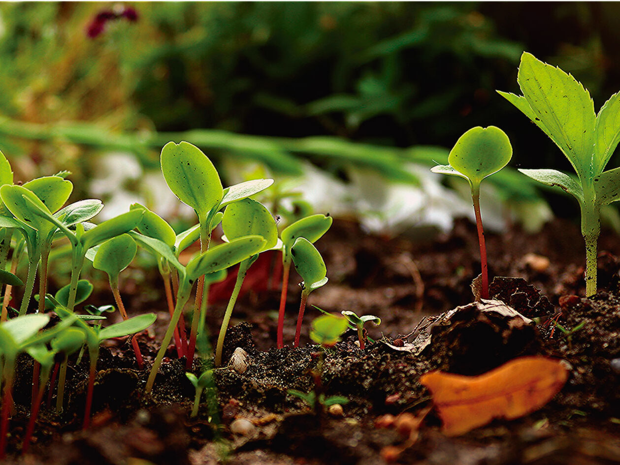 Campus de la Energía y el Medio Ambiente